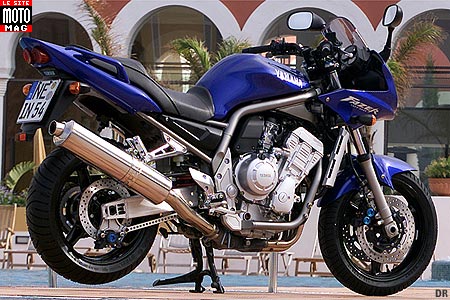 Yamaha 1000 FZR Fazer